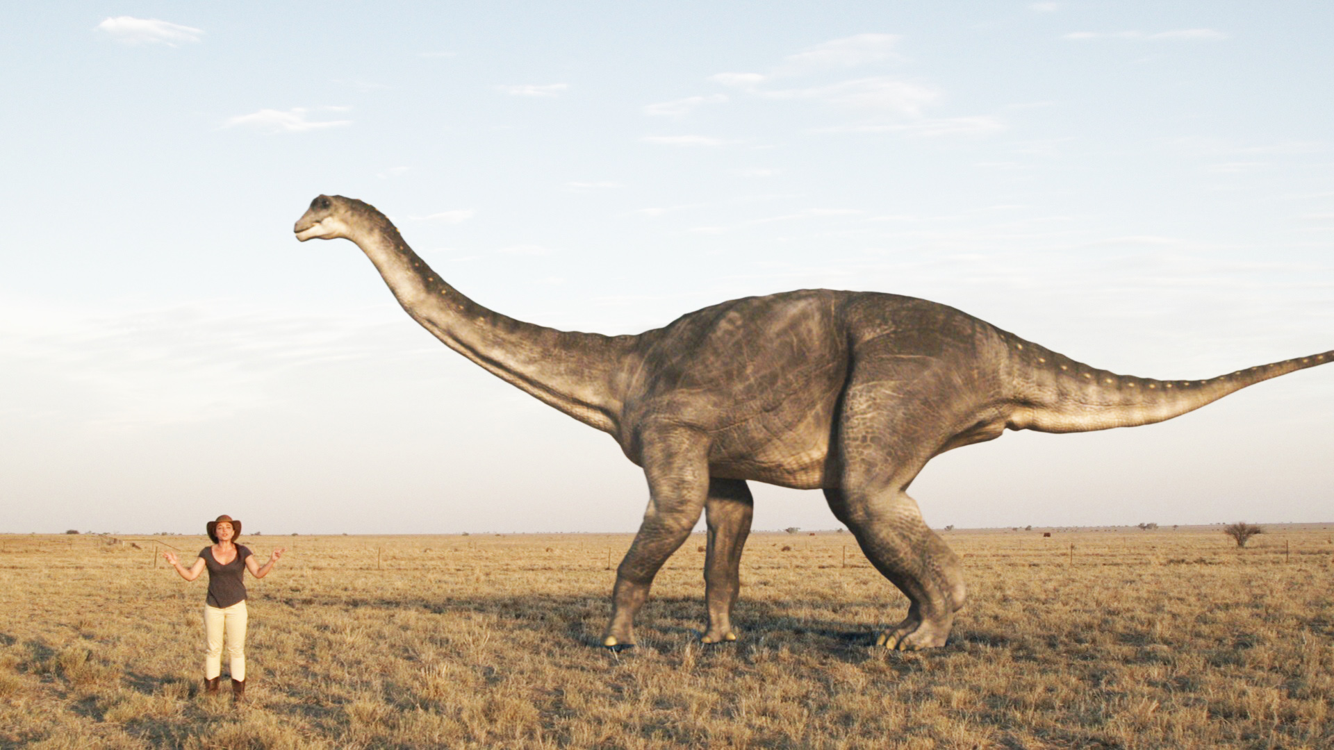 ΕΡΤ2 - ΞΕΝΟ ΝΤΟΚΙΜΑΝΤΕΡ «Dinosaurs in the Outback» 08.01.2018 - Γραφείο ...